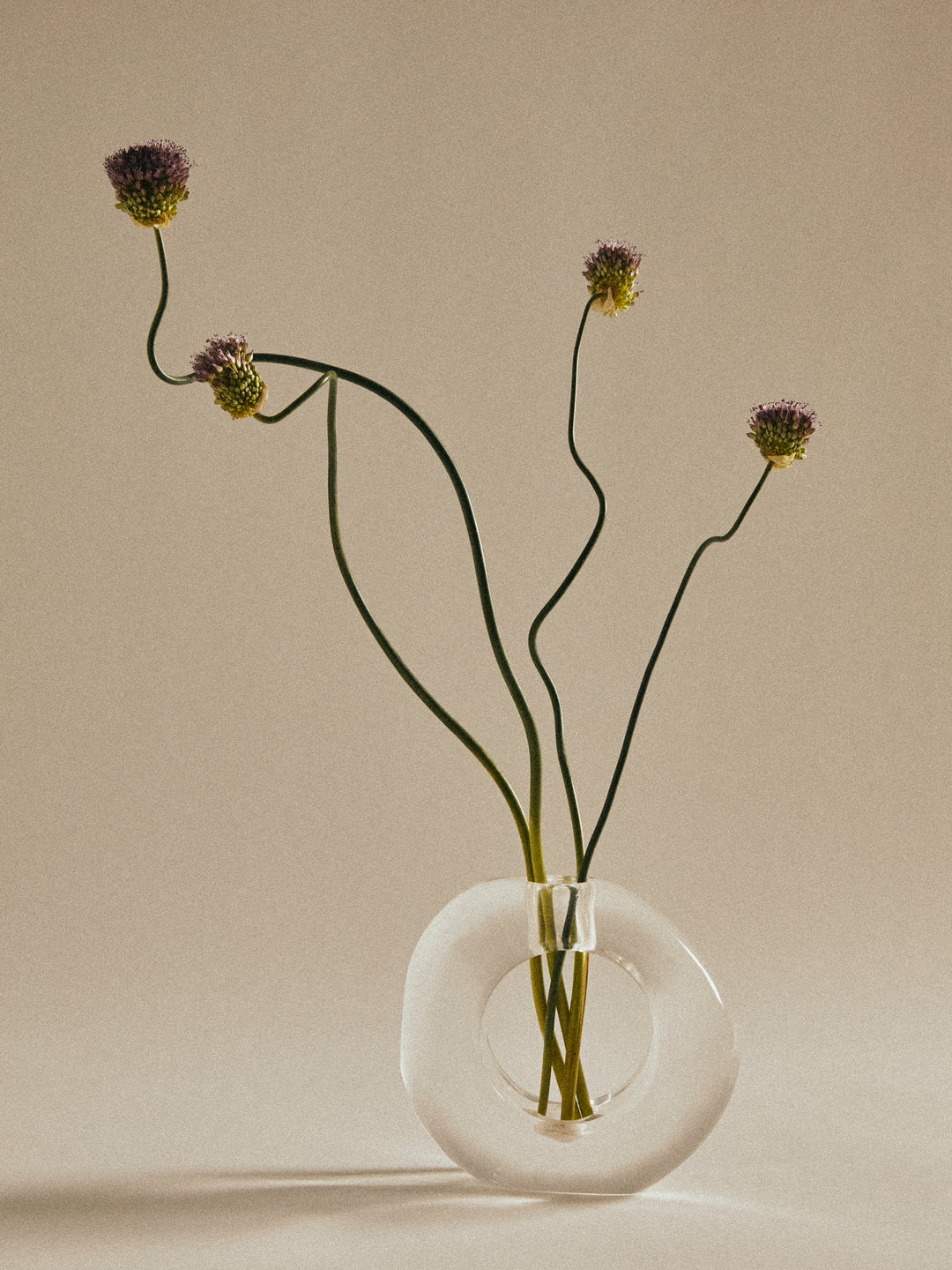 About Us - Company Information & Background | Website Name – ENEY GLOBAL